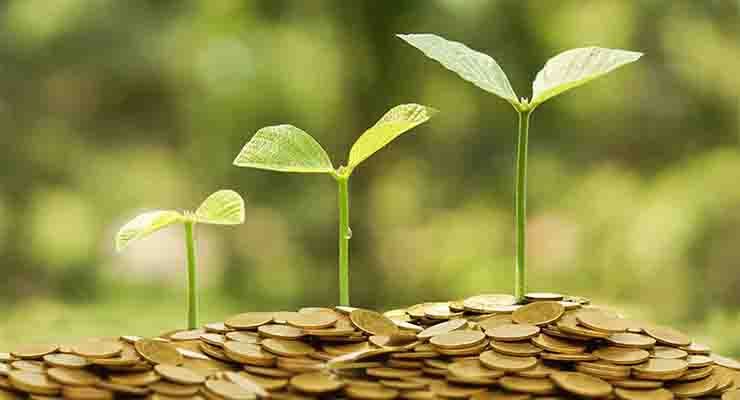 Vegrow, an agritech firm financed by Elevation Capital, has created a ...