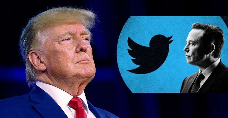 Elon Musk starts Twitter poll on whether to bring back Trump | Startup ...