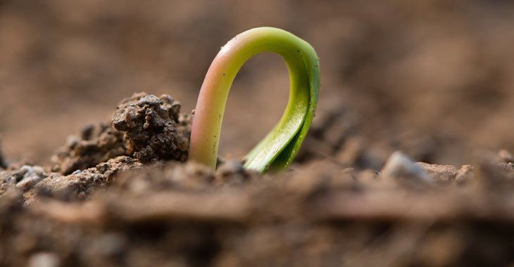 Bonatra secures Rs 5.5 Cr in the pre-seed funding round | Startup Story