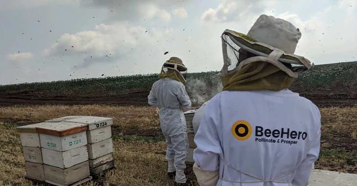 General Mills invests in ‘precision pollination’ startup, BeeHero | Startup Story