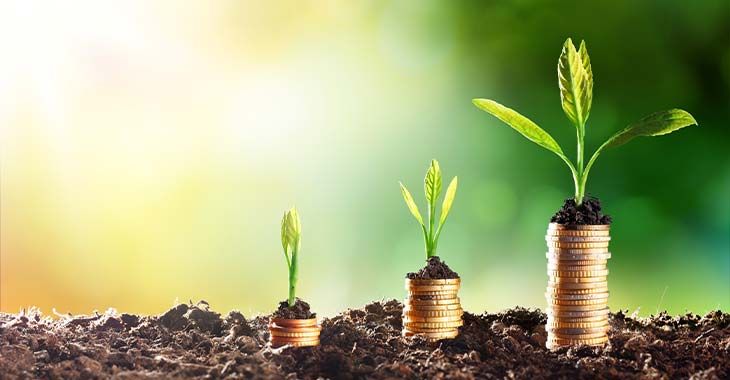 Agritech startup Grow Indigo raises over USD 6 million in funding ...