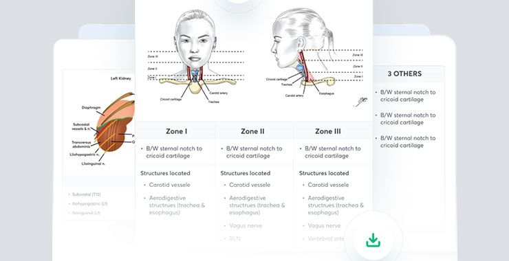 PrepLadder, owned by Unacademy, unveils new education offerings for ...